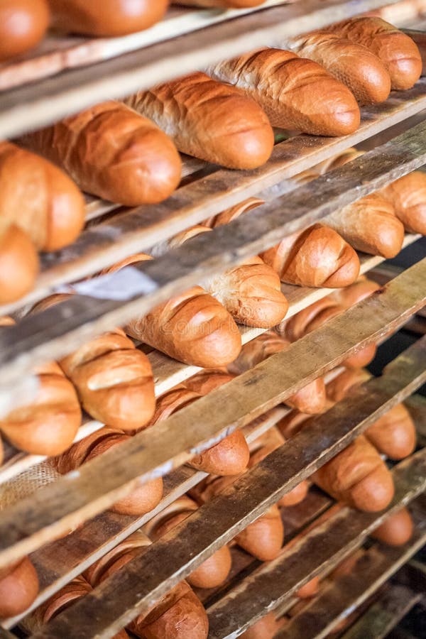 Freshly Baked Bread Stacked and Ready for Packaging at Factory Stock ...