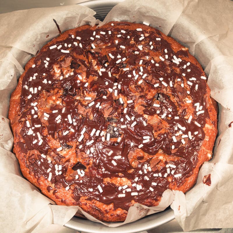 Freshly Baked Cocoa Cake with Cheese and Chocolate Stock Image - Image ...