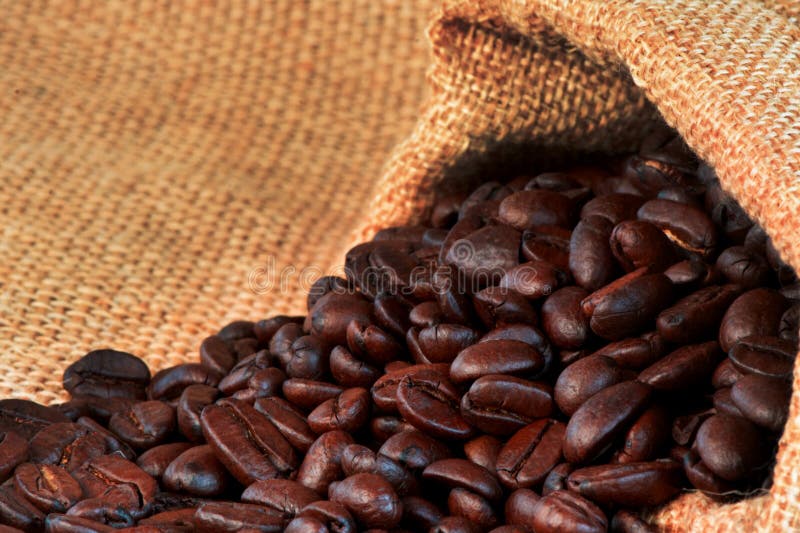 Freshly Baked Dried Coffee Beans on Background Stock Photo - Image of ...