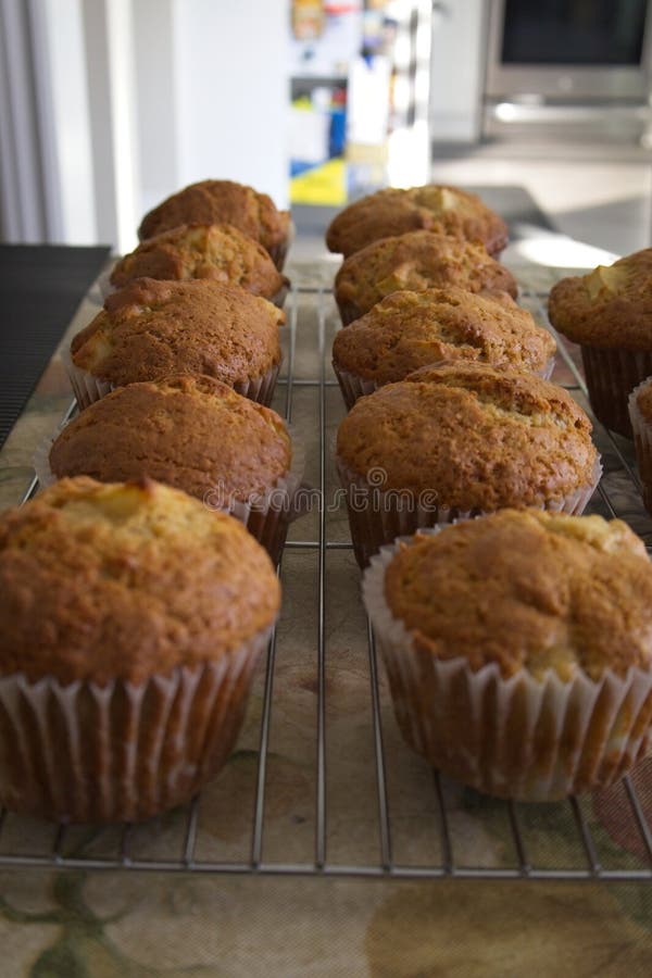 Muffins on a Cooling Rack stock photo. Image of cases - 51751386