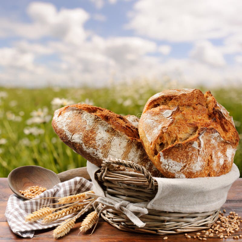 Freshly Baked Traditional Bread Stock Photo - Image of crop, basket ...