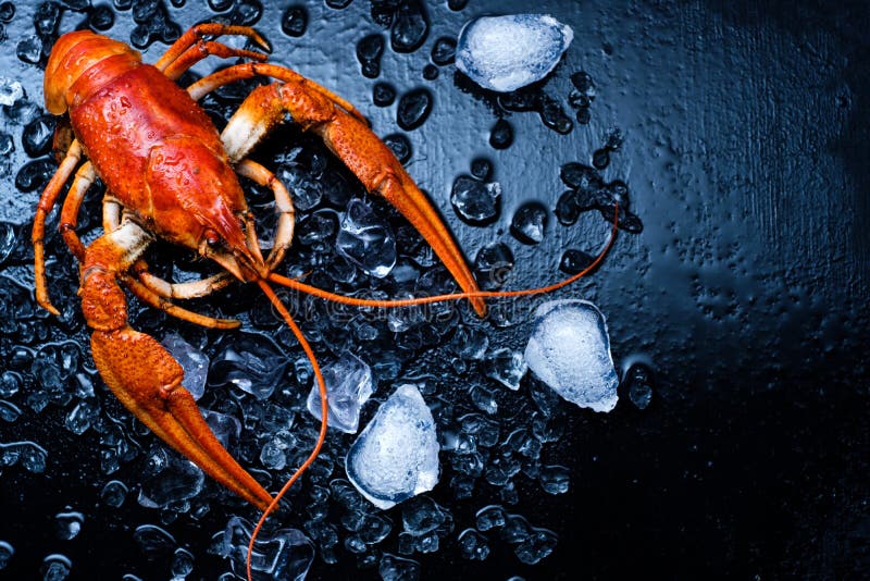 1,340 Boiled Crawfish Top View Stock Photos - Free & Royalty-Free Stock ...