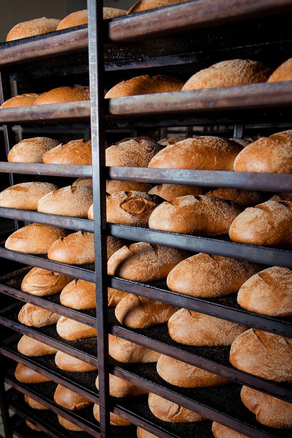 Freshly Bread on a Baking Tray Stock Image - Image of business, cooking ...