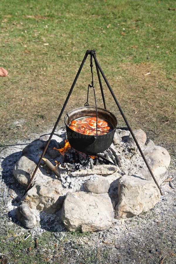 Freshly Captured Crayfish Boiling on a Camp Fire Stock Image - Image of ...