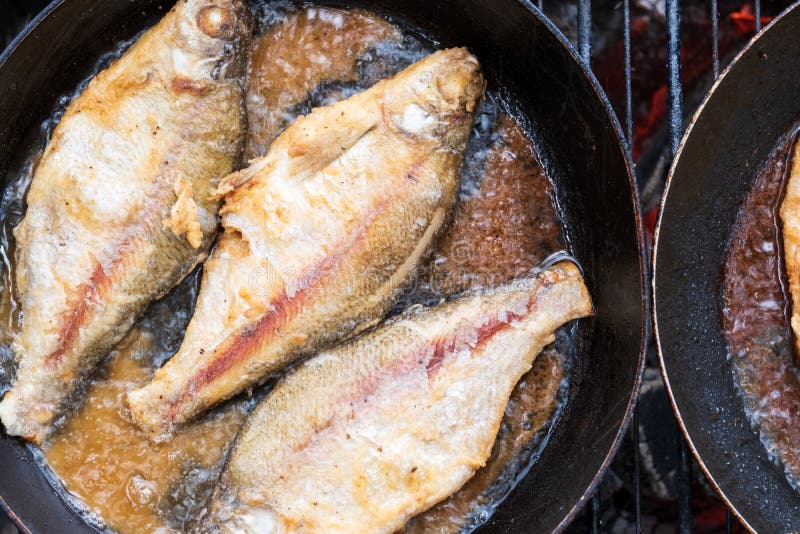 Freshly Caught Fish is Fried in a Pan in Oil Stock Photo - Image of ...