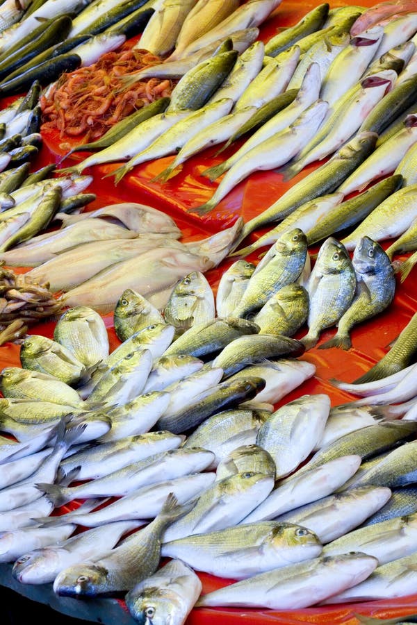 Fish for Sale stock photo. Image of market, delicious - 50154042
