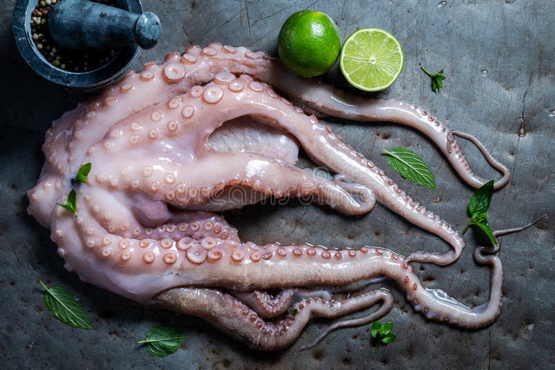 Freshly Caught Octopus on Metal Table Stock Image - Image of tentacle ...