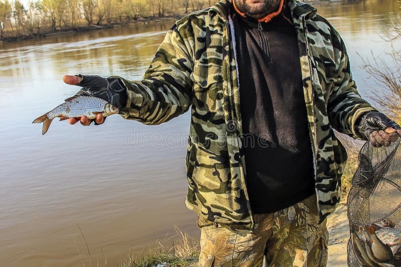 Freshly Caught Small Fish in a Fisherman Hand Stock Photo - Image of ...