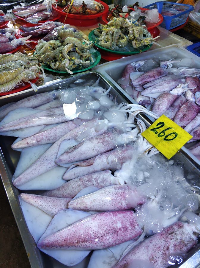 Freshly Caught Squid on the Counter at the Fish Market Stock Photo ...