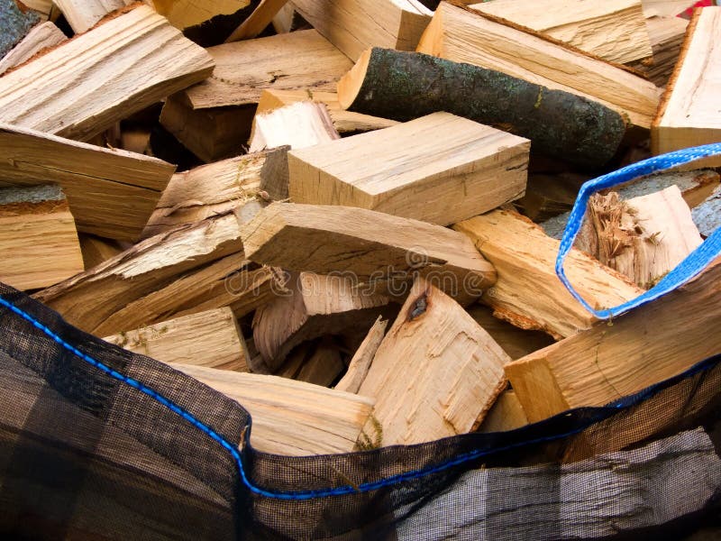 Fuel Wood stock image. Image of nature, sustainability - 9171671