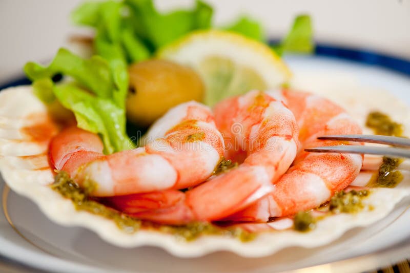 Freshly Cooked Prawns on a Shell Stock Image - Image of pink ...