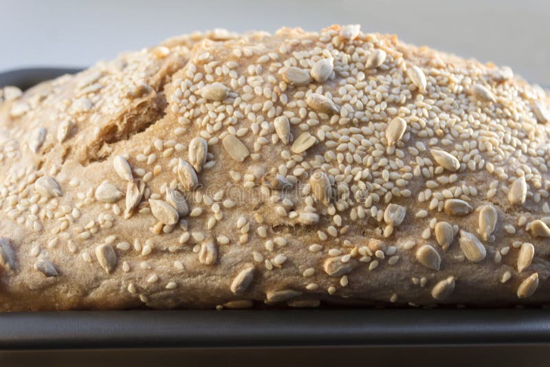 Freshly Cooked White Bread Still in the Bread Pan Stock Photo - Image ...