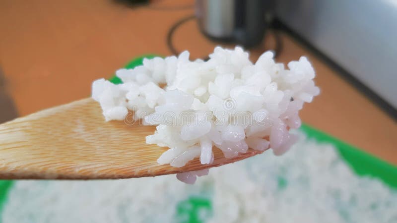 Freshly cooked white rice stock photo. Image of cooked - 155907818