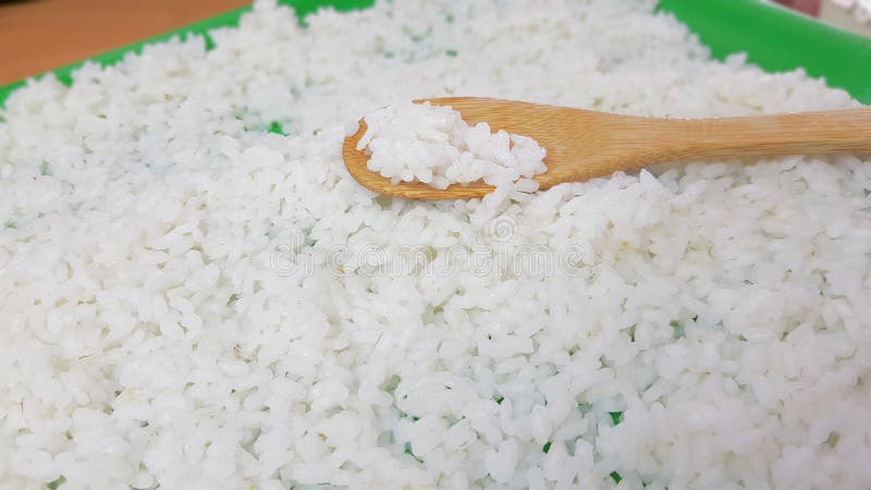 Freshly cooked white rice stock photo. Image of grain - 155907774