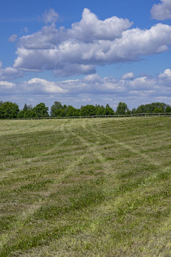 Freshly Cut Field with Machine Tracks Stock Photo - Image of natural ...