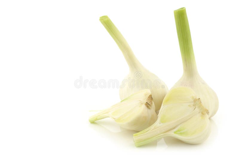 Freshly Cut Garlic Bulbs and a Cut One Stock Image - Image of spiciness ...
