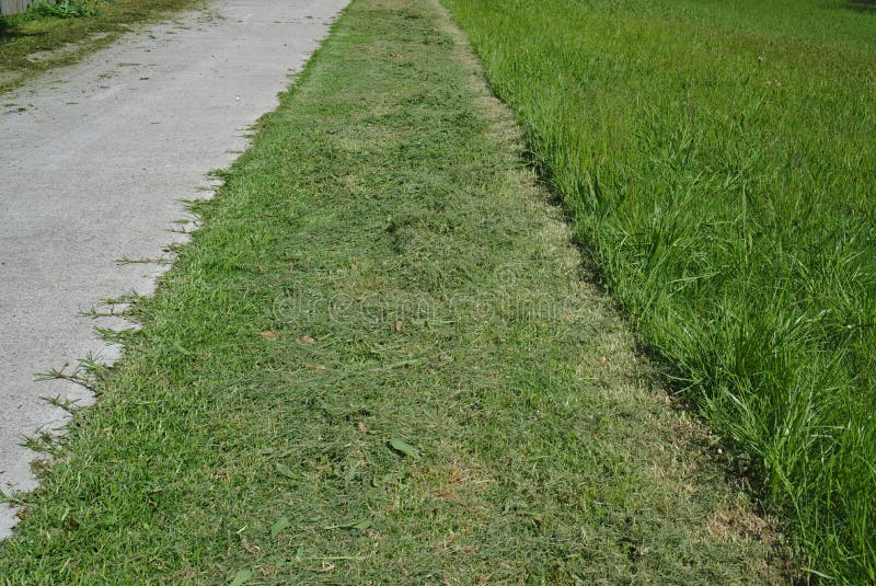 Straight Line Fresh Cut Grass Stock Photos - Free & Royalty-Free Stock ...