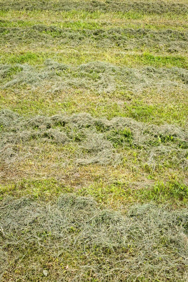Windrow Close Stock Photos - Free & Royalty-Free Stock Photos from ...
