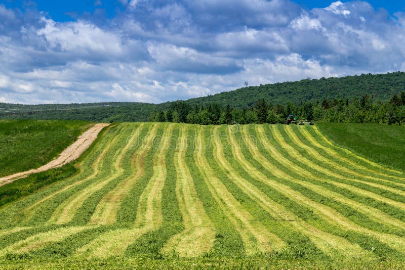 Tractor In A Fresh Cut Hay Field Stock Photo - Image of fall, good ...