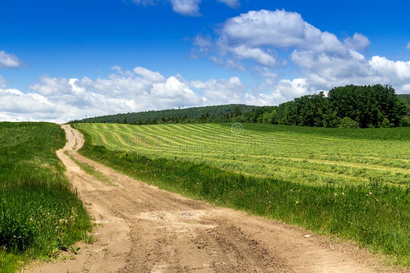 Freshly cut hay field stock photo. Image of industry - 73240318