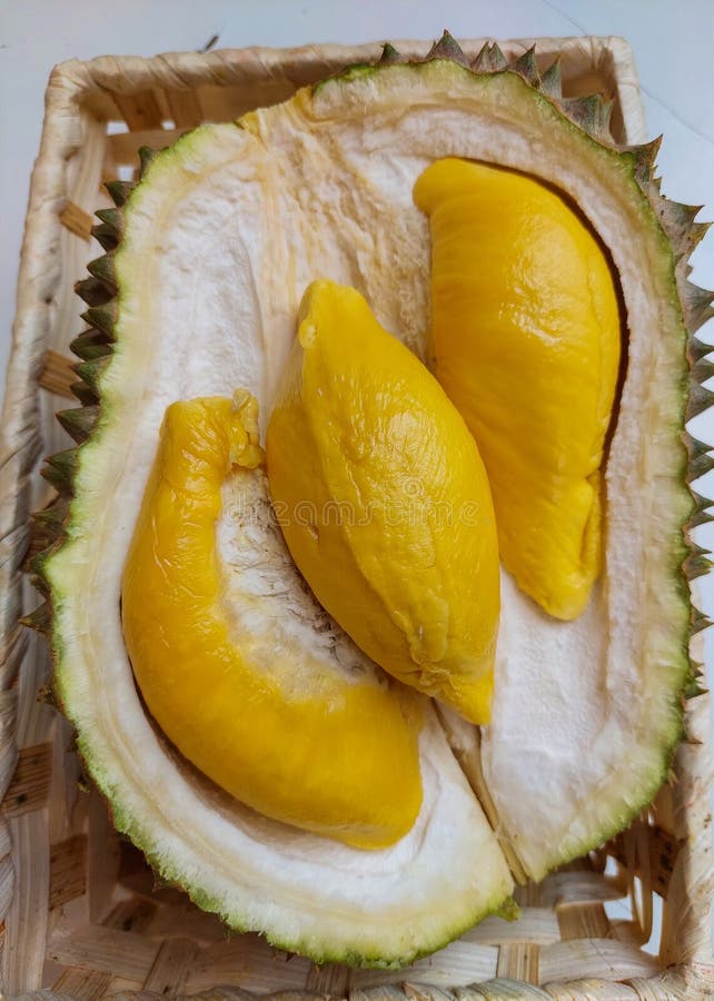 Freshly Cut Musang King Durian Stock Photo - Image of musang, civet ...