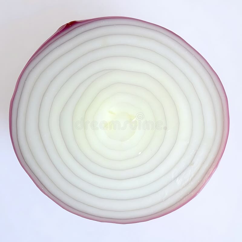 A Freshly Cut Onion, Showing Its Concentric Circles Stock Illustration ...