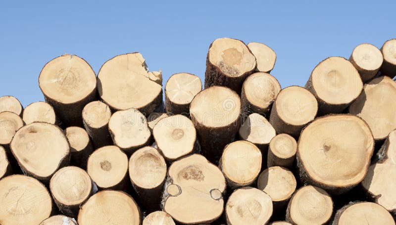 Timber Log stack stock image. Image of logging, woodpile - 24284543