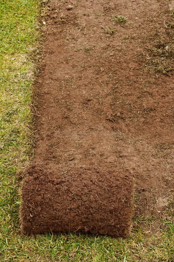 Freshly Cut Turf stock photo. Image of golf, lawn, turf - 24590008