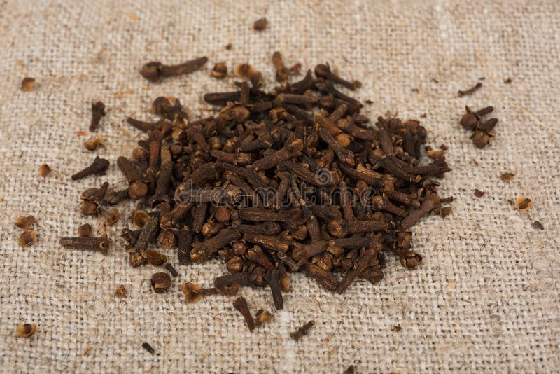 Freshly dryed clove spice stock photo. Image of food - 73660170