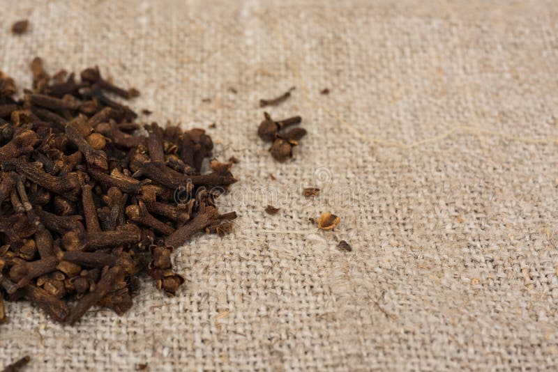 Freshly dryed clove spice stock photo. Image of carnation - 73660170