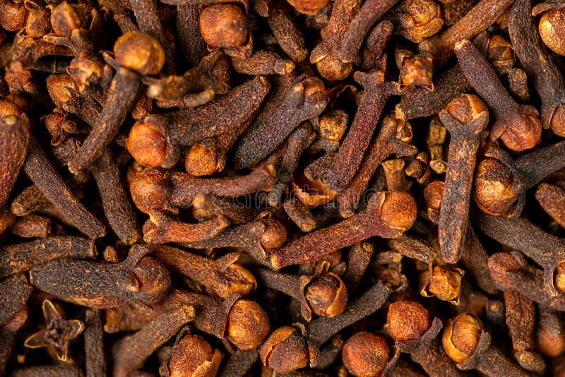 Freshly Dryed Clove Spice Texture Close Up. Stock Image - Image of ...
