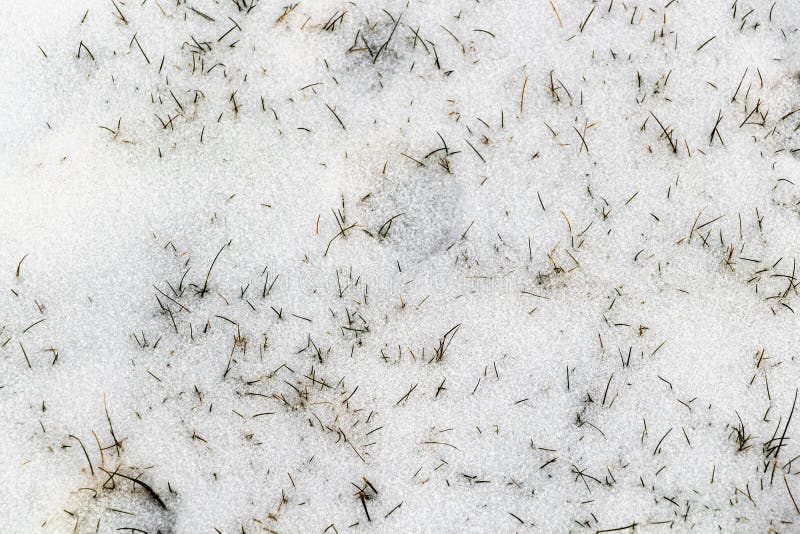 Snow on the lawn stock photo. Image of hoar, cool, country - 170381524