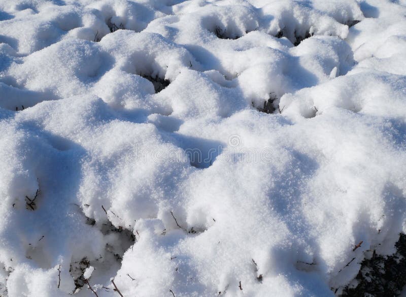 Freshly Fallen Snow on the Ground Stock Image - Image of fallen ...