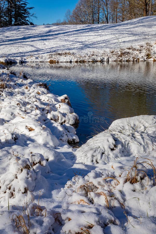 Freshly Fallen Snow Surrounds Small Pond in Winter Stock Photo - Image ...