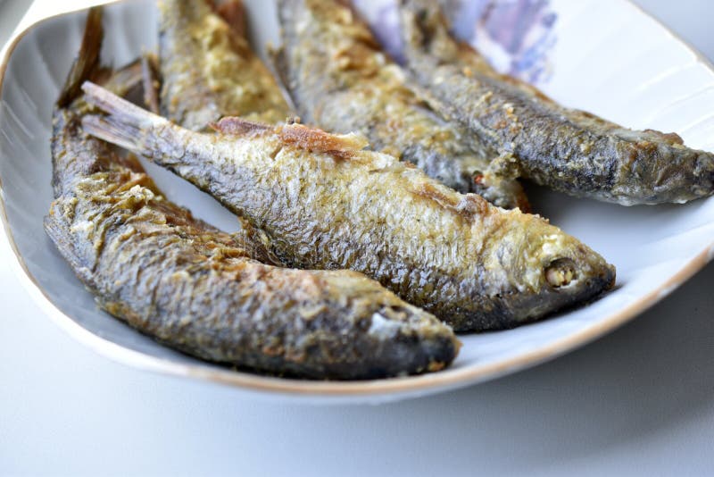 Freshly Fried River Fish in a Plate in the Kitchen Stock Photo - Image ...