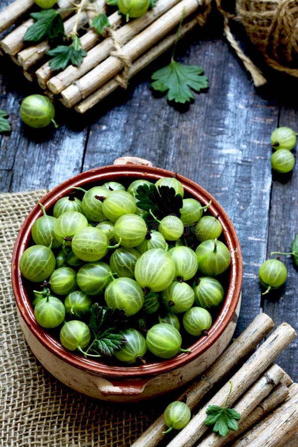Gooseberry stock photo. Image of russian, bersenyev, marmalade - 75037980