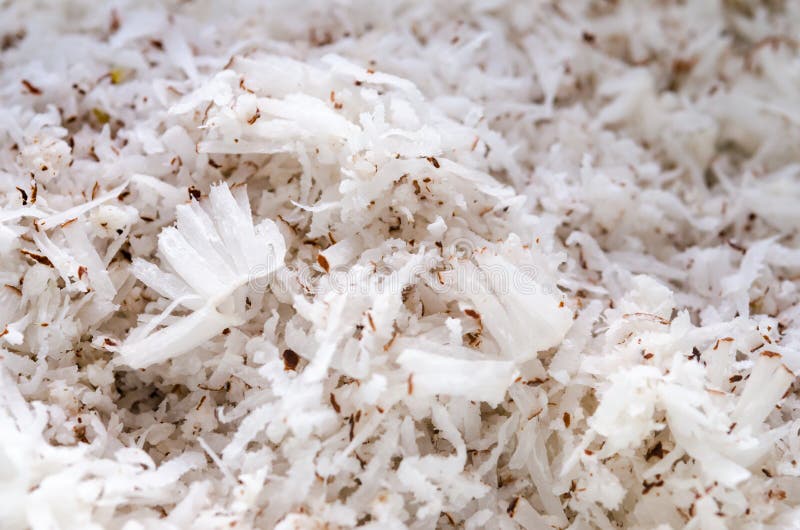 Freshly grated coconut stock image. Image of nutrition - 70598687