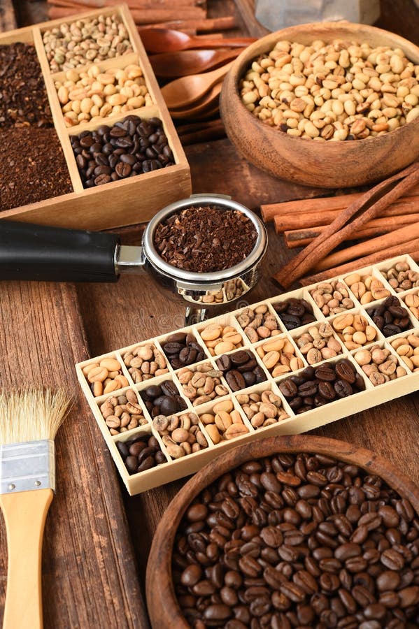 Freshly Ground Coffee Beans in a Metal Filter and Different Coffee ...