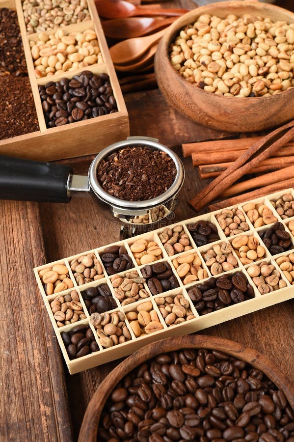 Freshly Ground Coffee Beans in a Metal Filter and Different Coffee ...