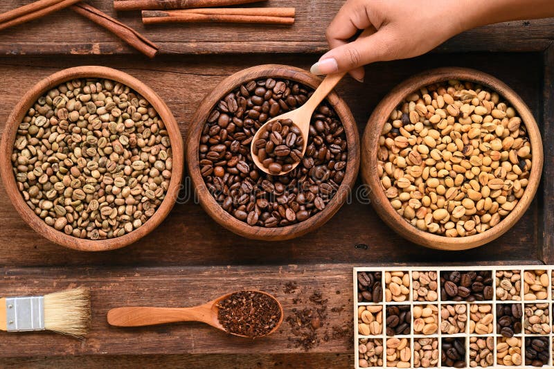 Freshly Ground Coffee Beans in a Metal Filter and Different Coffee ...