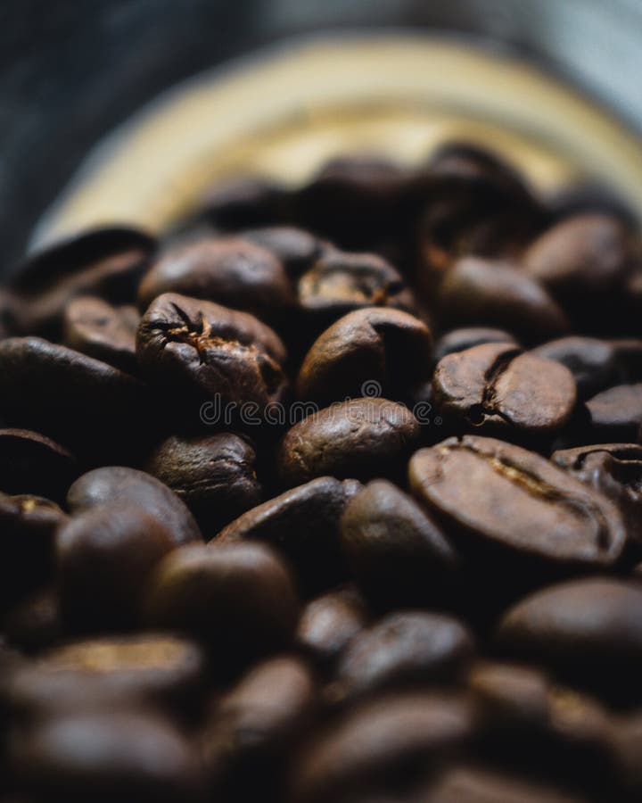 Freshly Grounded Heaven stock photo. Image of plant - 214789796