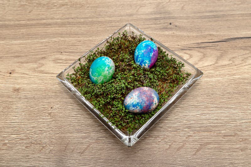 Freshly Grown Cress Grows in a Glass Square Bowl, Colored Eggs Visible ...