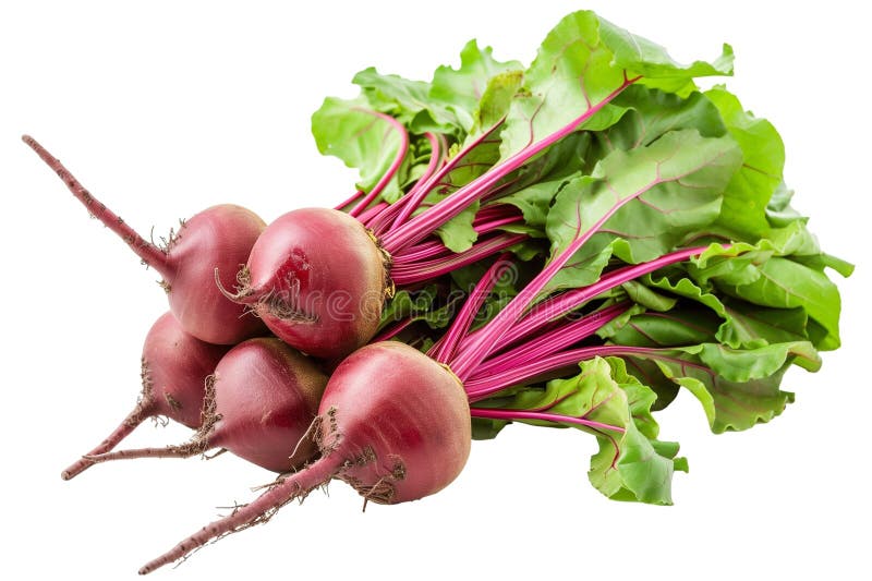 Freshly Harvested Beets with Green Leaves Isolated on White Background ...