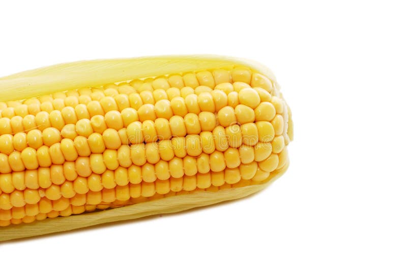 Freshly harvested corn stock photo. Image of green, objects - 12867612
