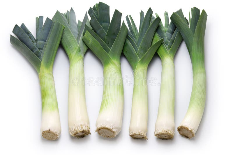 Freshly Harvested Leeks Isolated on White Background Stock Image ...