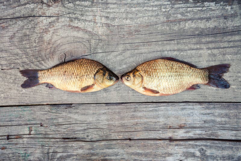 Catch of Every Good Fisherman Stock Photo - Image of meat, small: 117208298