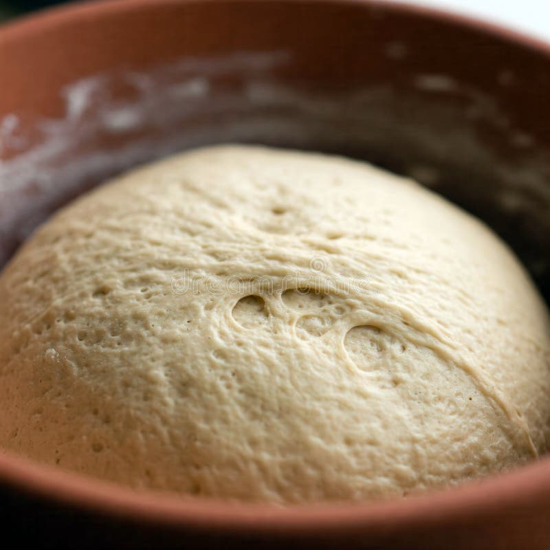 Freshly Kneaded Dough Rising in a Bowl, Showing Its Airy Texture and ...