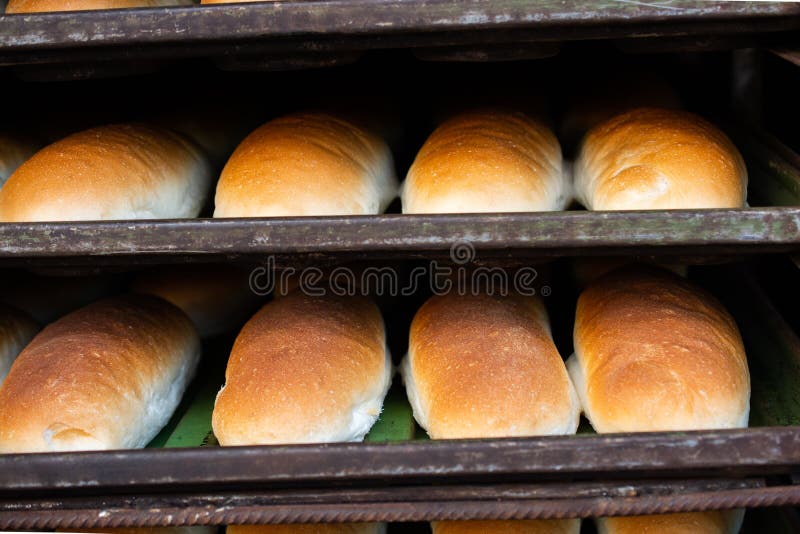 Freshly Made Bread in Bakery Trays Stock Image - Image of appetizer ...