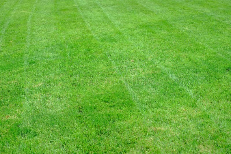 Mowed grass pattern stock image. Image of land, cutting - 2652217