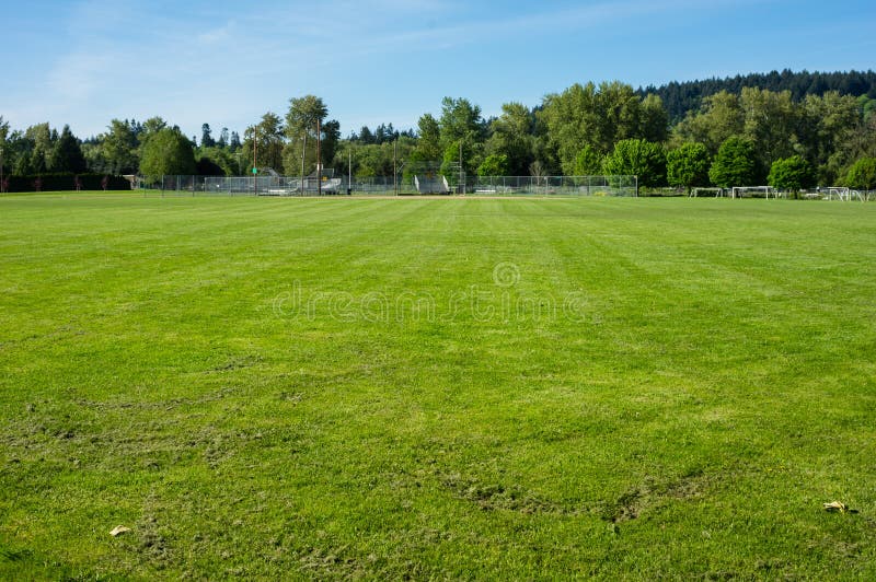 Mown Grass in Park stock image. Image of undulating, public - 66049753